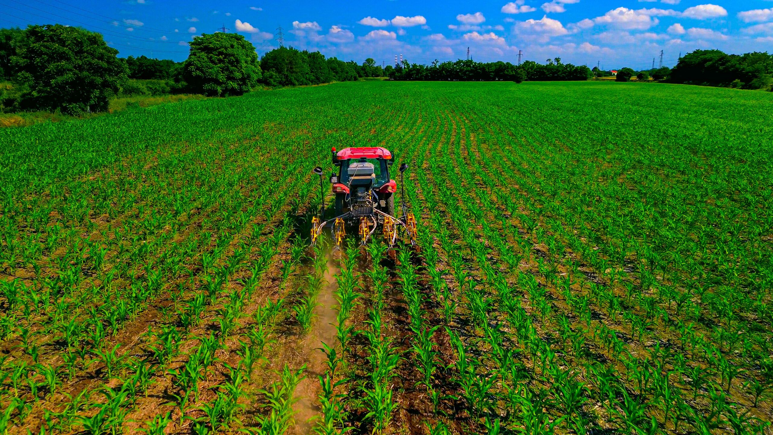 Protecting the Harvest - Bill Bailey Insurance
